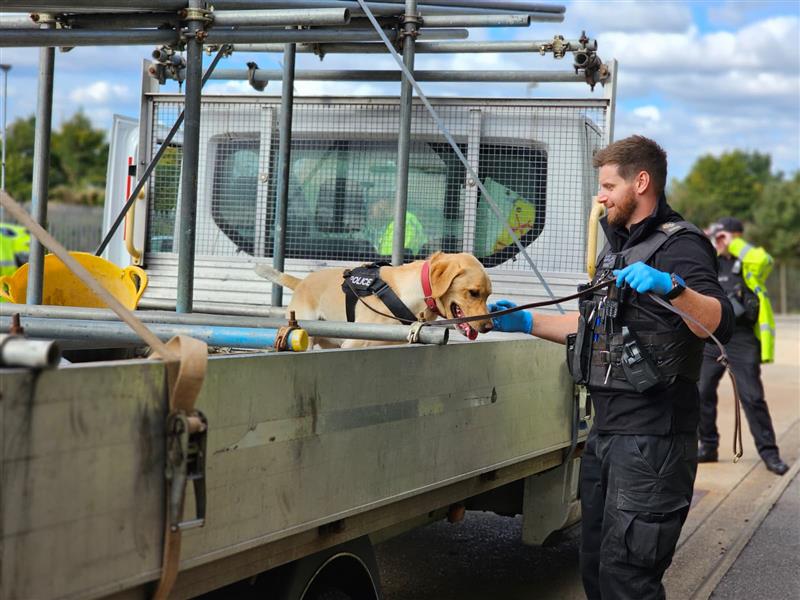 Operation Phoenix returns to deliver strong results in Surrey’s latest ...
